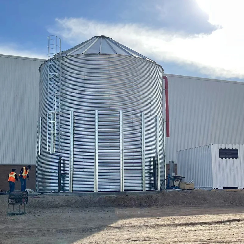 Purified Water Storage Tanks - Durable & Customized Solutions