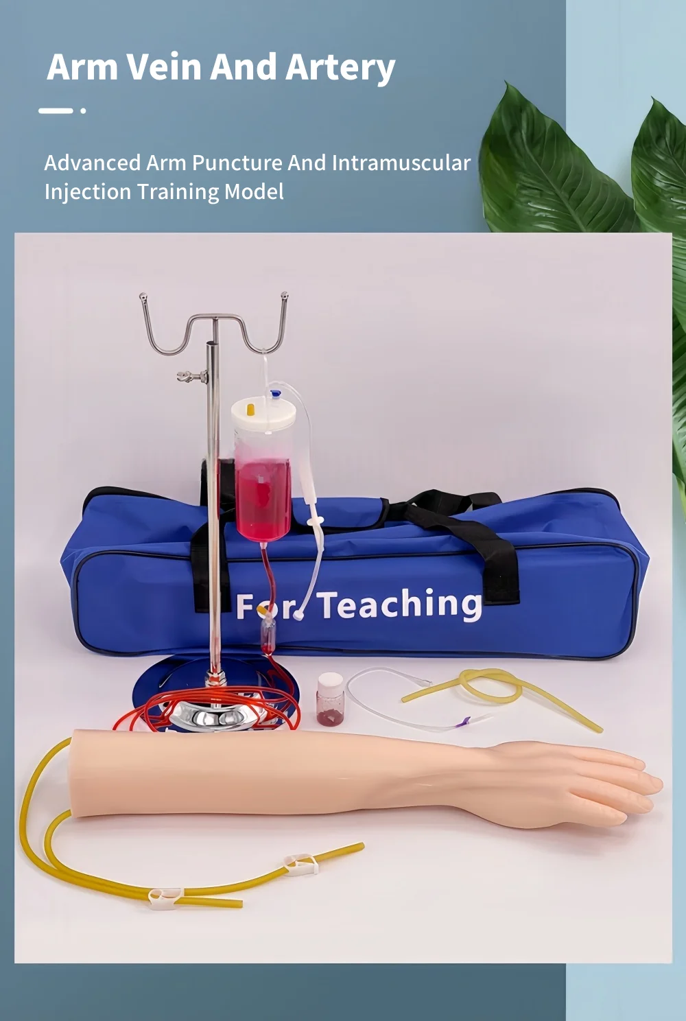 Medical Science Injection Training Human Anatomy Hand Arm Nursing ...