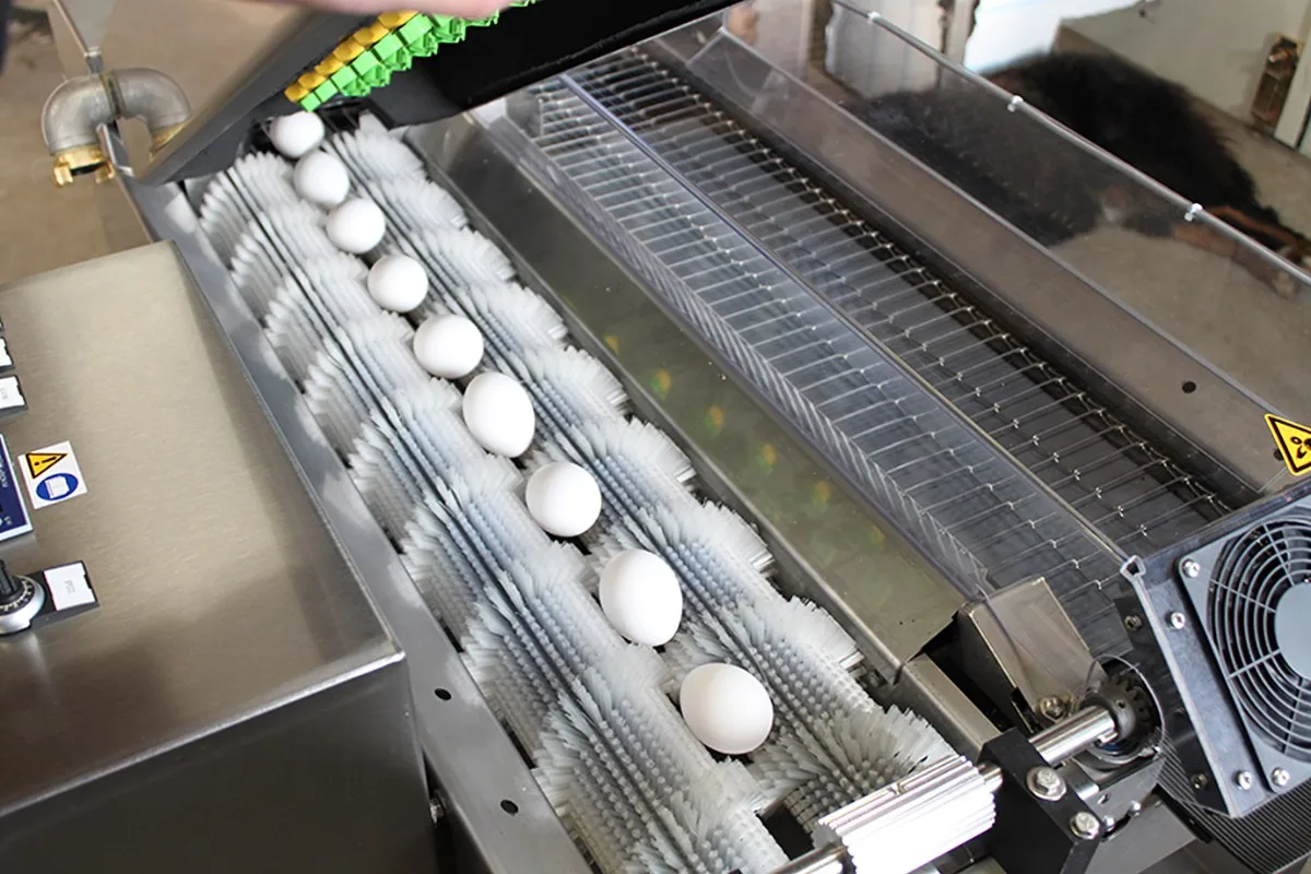 High Efficiency Egg Processing Line with Cleaning and Grading ...