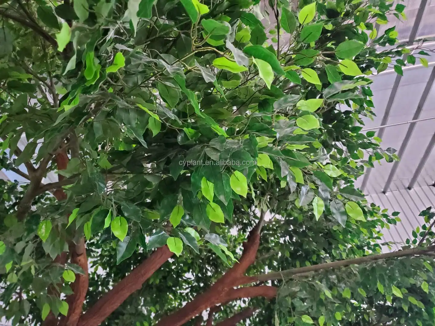 Factory 3m High 3m Wide Fiberglass Artificial Banyan Tree Large ...