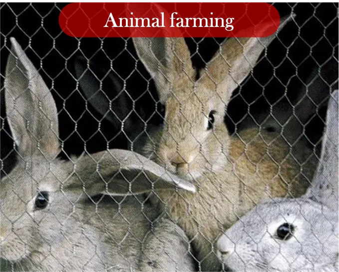 Hexagonal Wire Mesh Roll/ Poultry Fencing Chicken Coop Hexagonal Wire ...