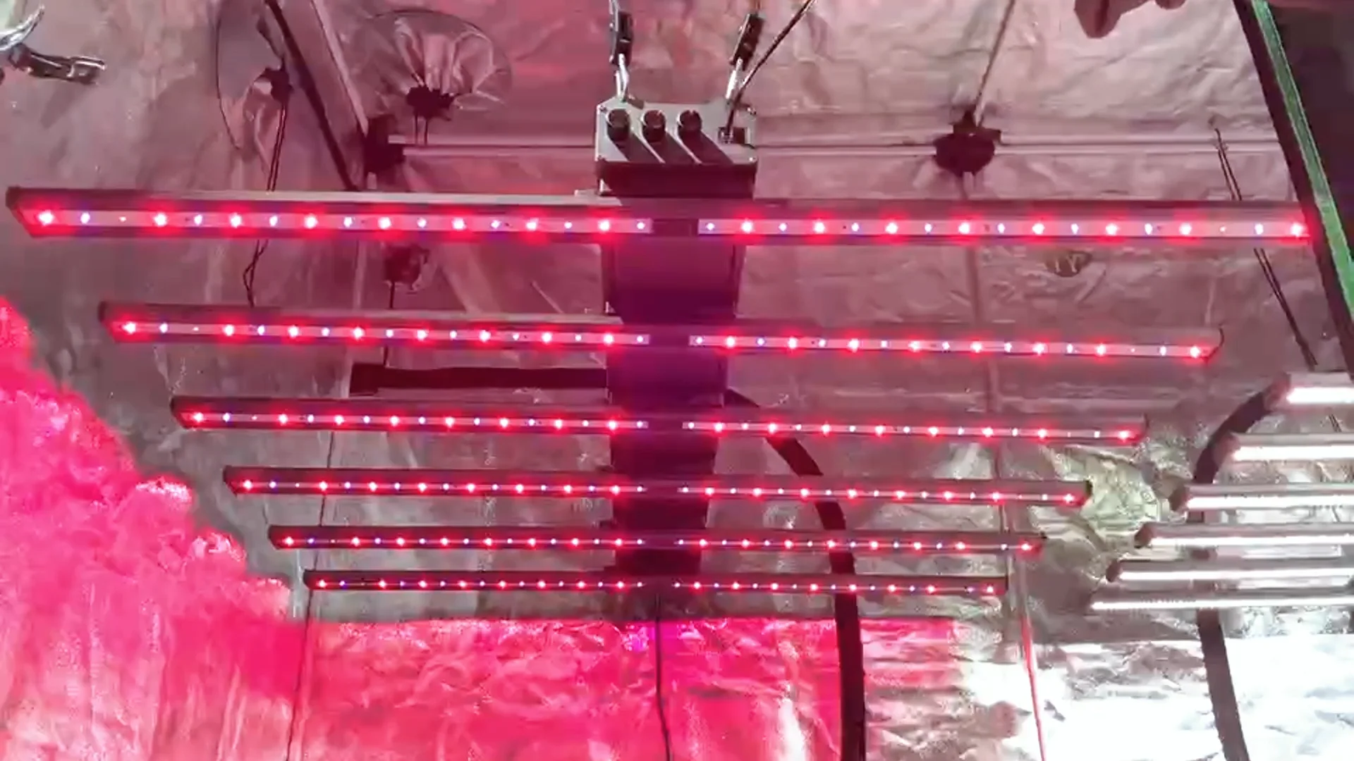 Indoor Planting High Ppfd Full Spectrum 660nm Samsung Lm301h Lm301b Led ...