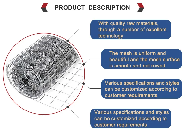 1inch 1mx30m Galvanized Welded Wire Mesh PVC Coated Wire Mesh