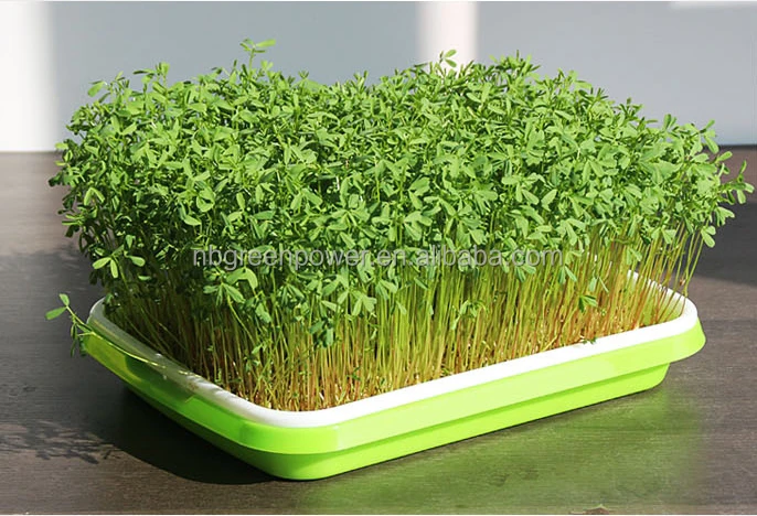 Plastic Seed Sprouter Tray with Lid - Eco-Friendly Germination
