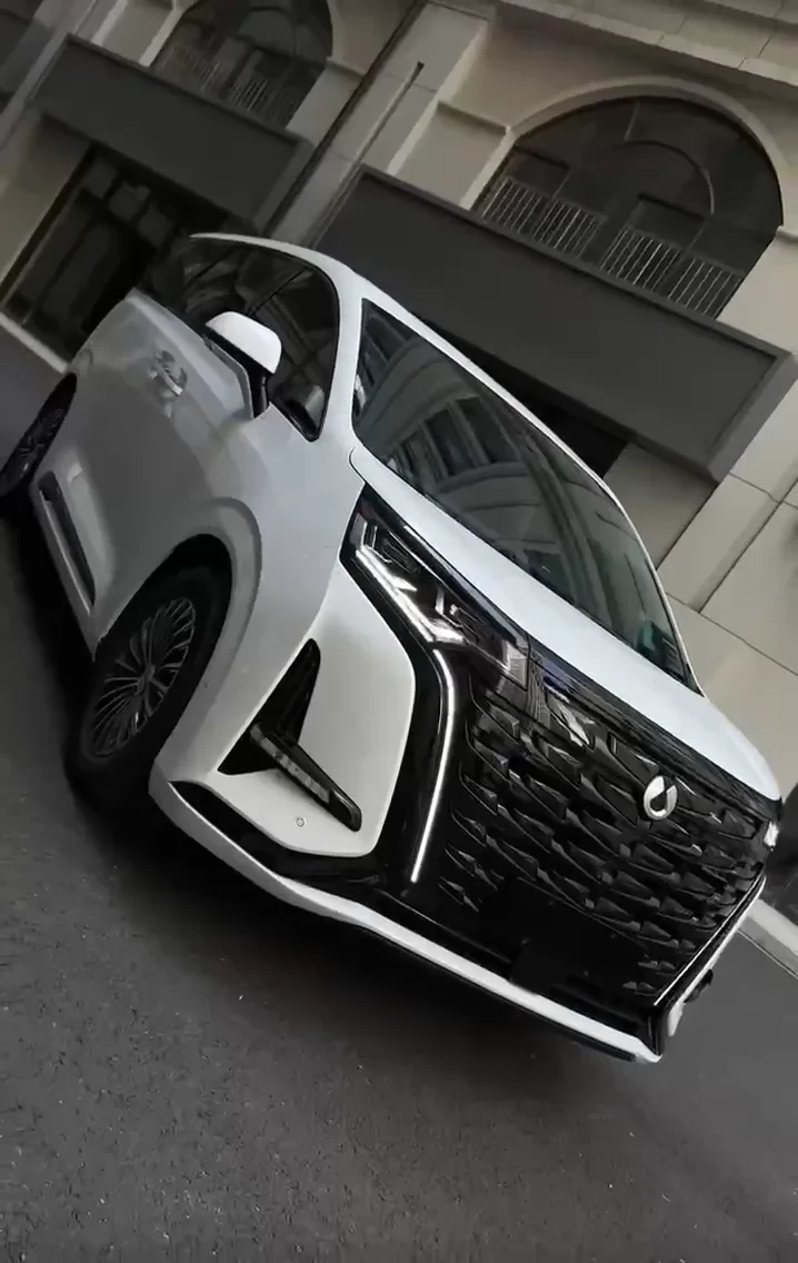 Best Price Max Speed 180 Km/h Byd Premi Denza Tengshi Hybrider Mpv ...