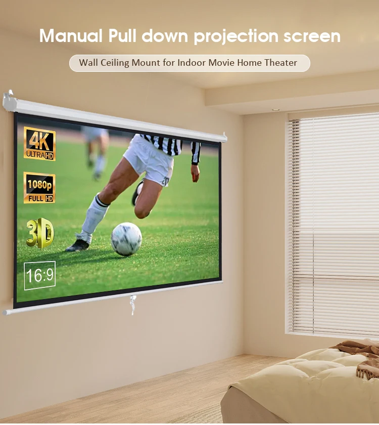 OEM Factory 150 Inch Pull down Projector Screen - 160° View Angle