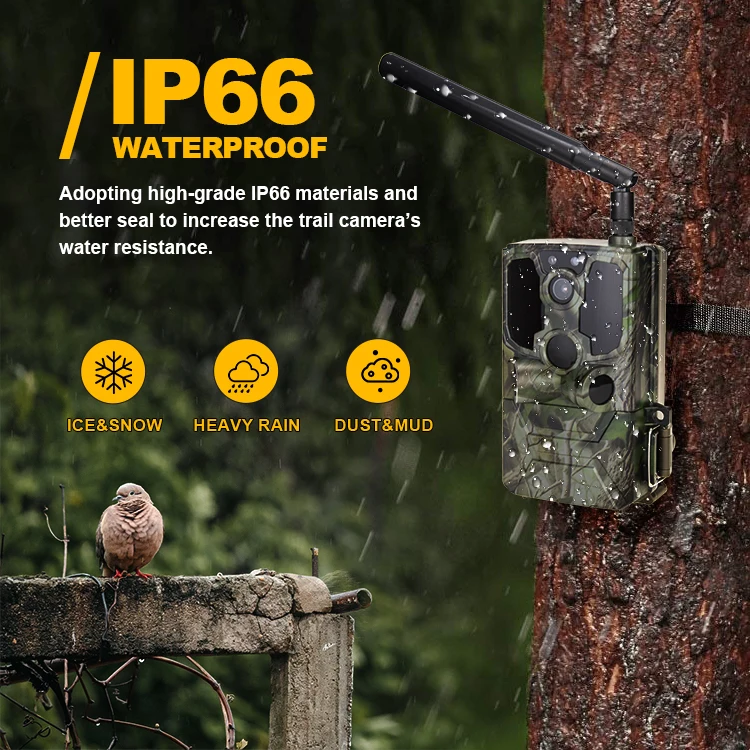 14 Mp Hd Waterproof 4g Animal Surveillance Monitor Wide Detection Deer ...