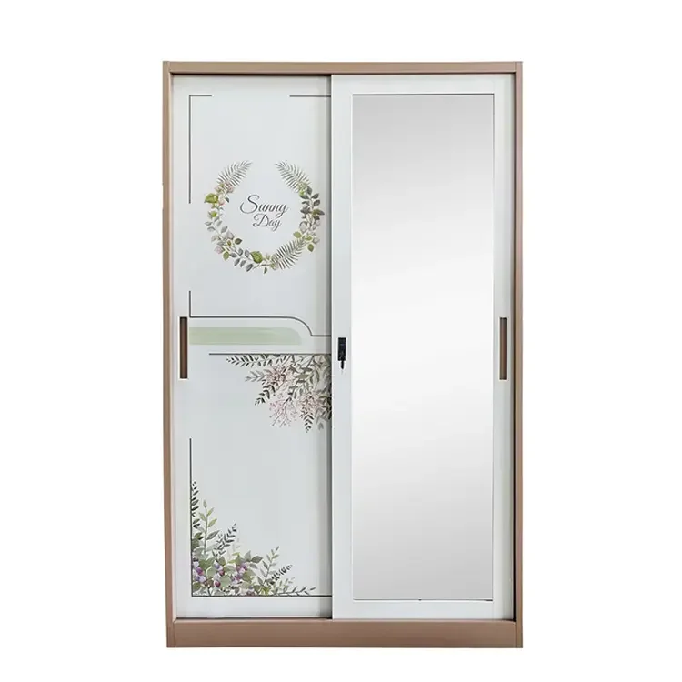 Multifunction 2 Door Clothes And File Storage Steel Wardrobe Cabinet ...