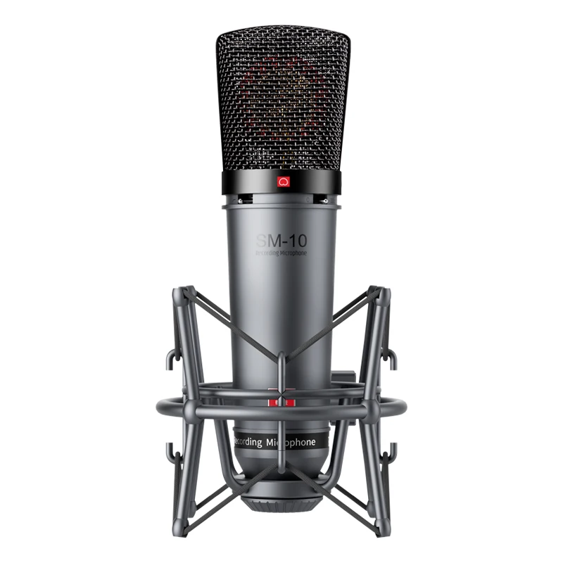 Takstar Sm-10 New Model Microphone Condenser Recording Studio Mic ...
