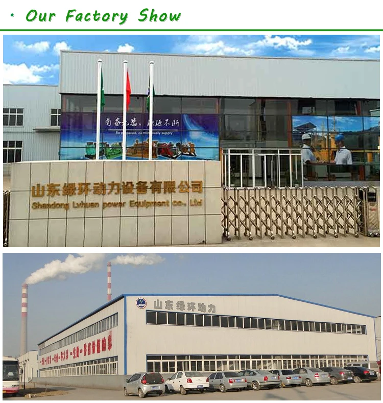 10kw-5mw CHP Cogeneration Diesel Generators by LVHUAN