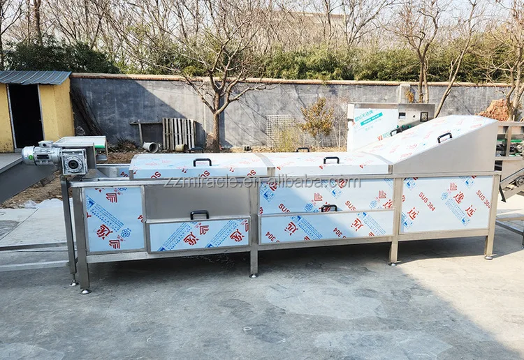 Potato Boiler Machine - Efficient Food Blanching Solutions