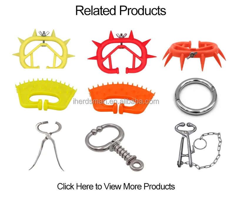 Husbandry Cattle Traction Ring Stainless Steel Bull Nose Ring