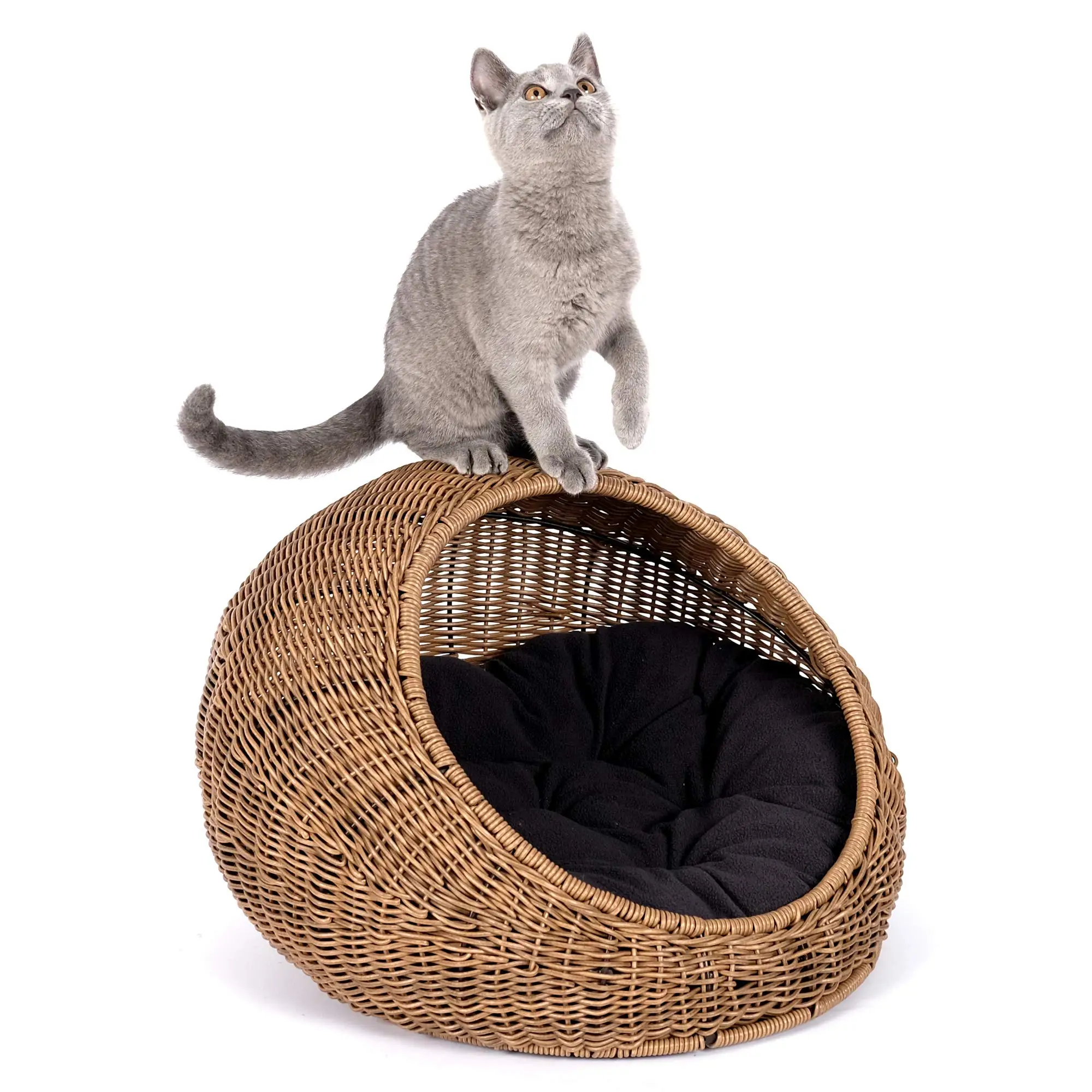 Wicker Cat Bed For Indoor Cats - A Covered Modern Cat Hideaway Hut Of ...