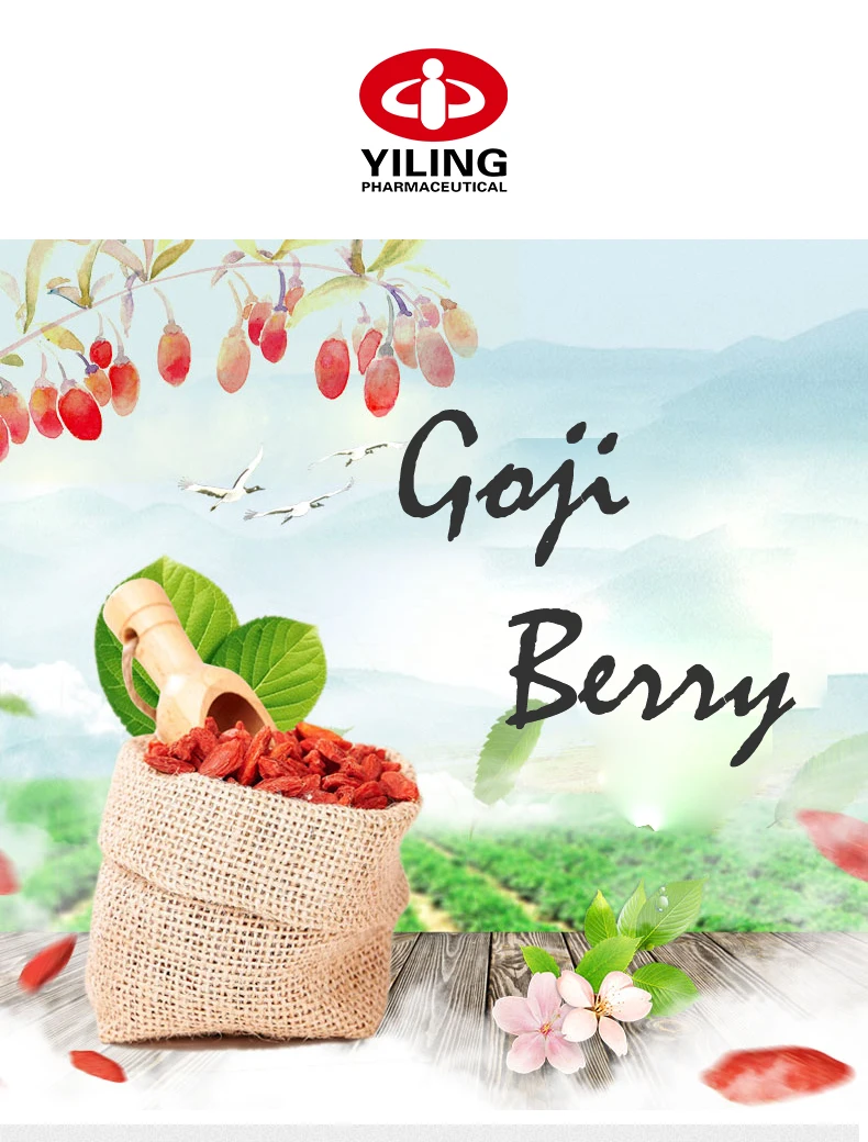 Wholesale High Quality Herbal Healthy Fruit Barbary Dried Chinese ...