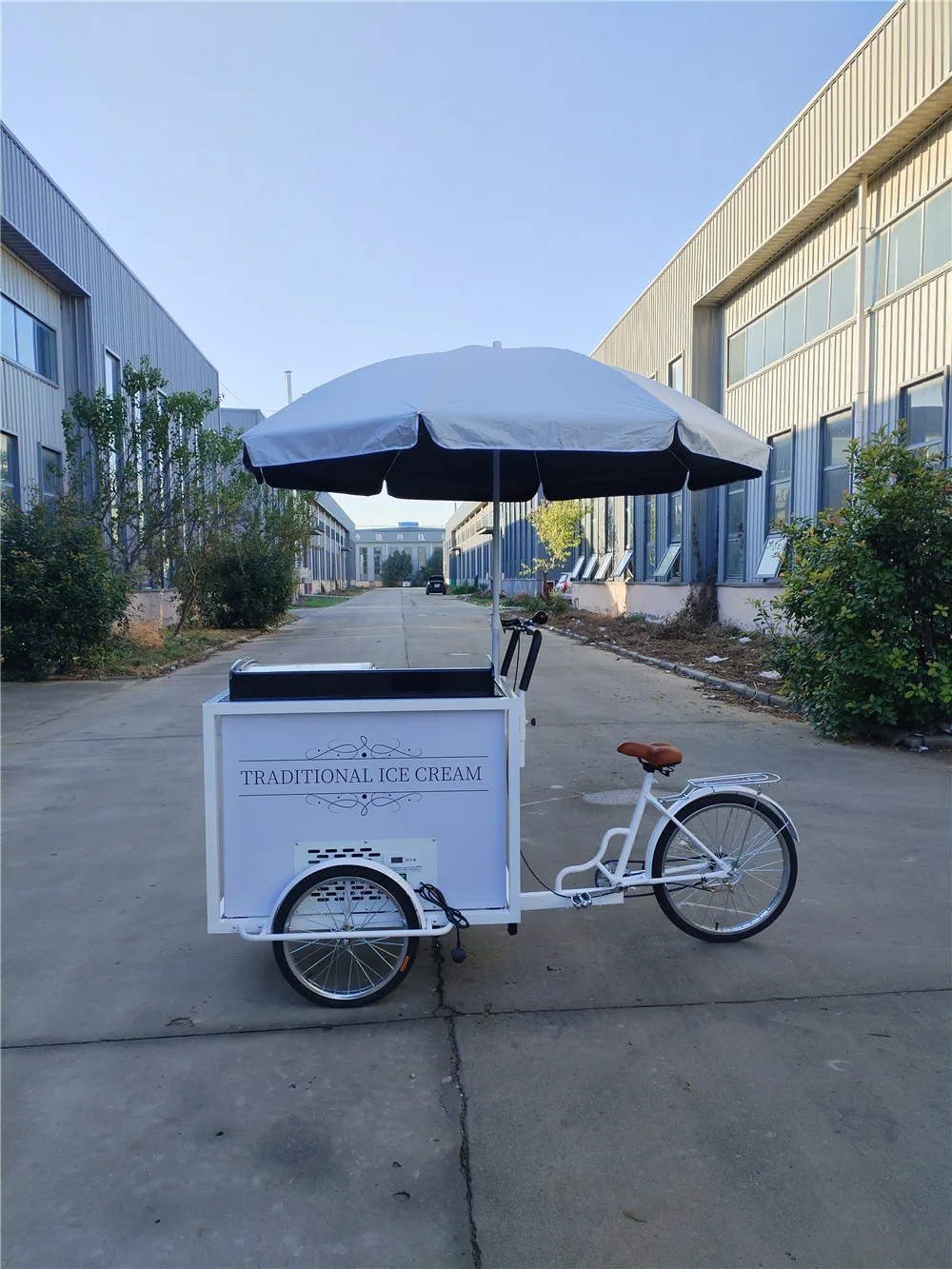 Ice Cream Tricycle with Freezer for Sale | Commercial Ice Cream Cart ...