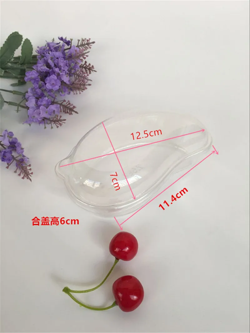 Mango Mousse Blister Cake Box - Transparent & Disposable