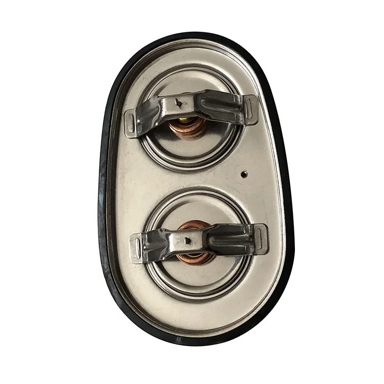 Cooling System Thermostat Oem 2475974 For Truck Coolant Thermostat ...