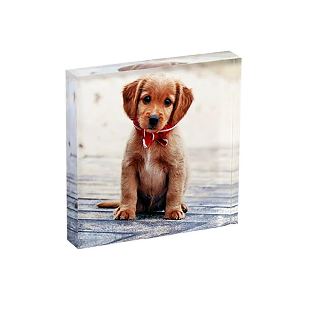 Custom Acrylic Logo Block - Luxury UV Printing Display