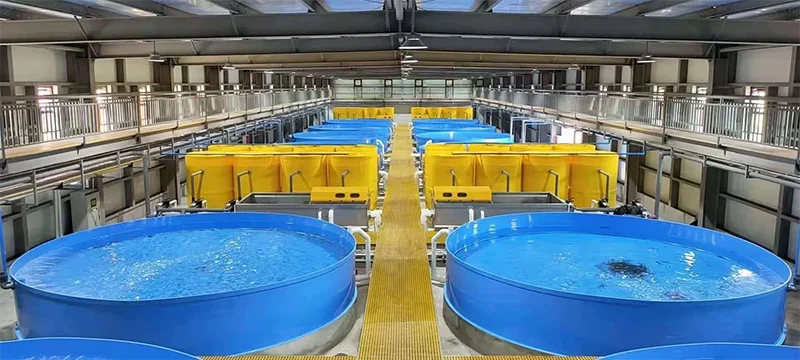 Ras Fish Farming System For Fish Breeding Equipment - Buy Ras System ...