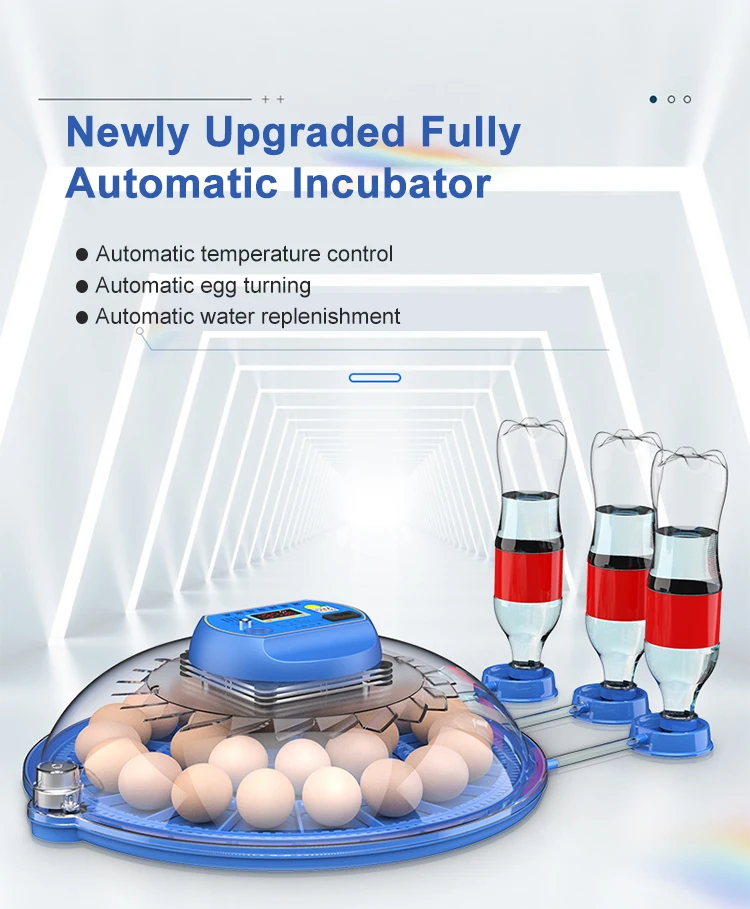 Home Use Dual Power Capacity 80 Egg Automatic Incubator Hatching Eggs ...