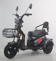 2 Seat Enclosed Rickshaw Electric 3 Wheels Adult Tricycle Covered 600W ...