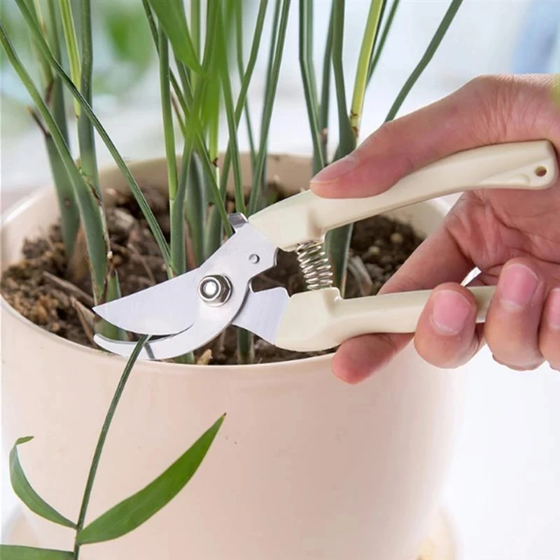 Sunshine Garden Limb Scissors Grafting Clipper Fruit Tree Hand Pruning ...