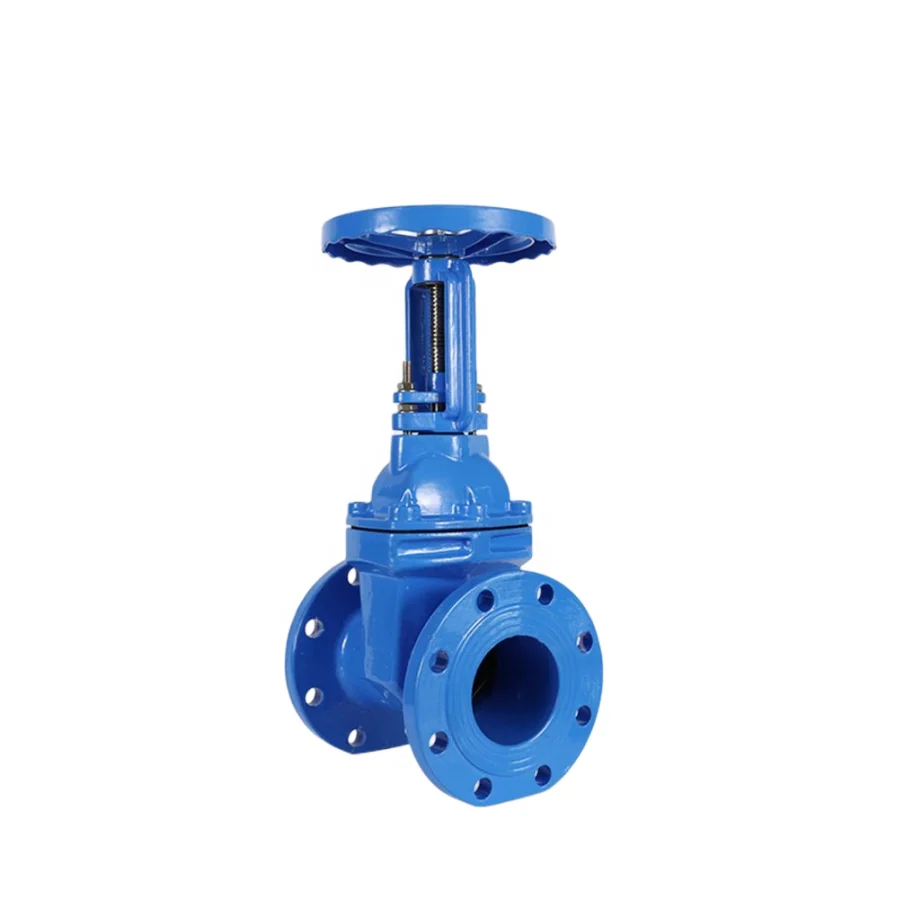 PN10 PN16 DN50 DN100 Water Seal Gate Valve Rising Stem Gate Valve ...