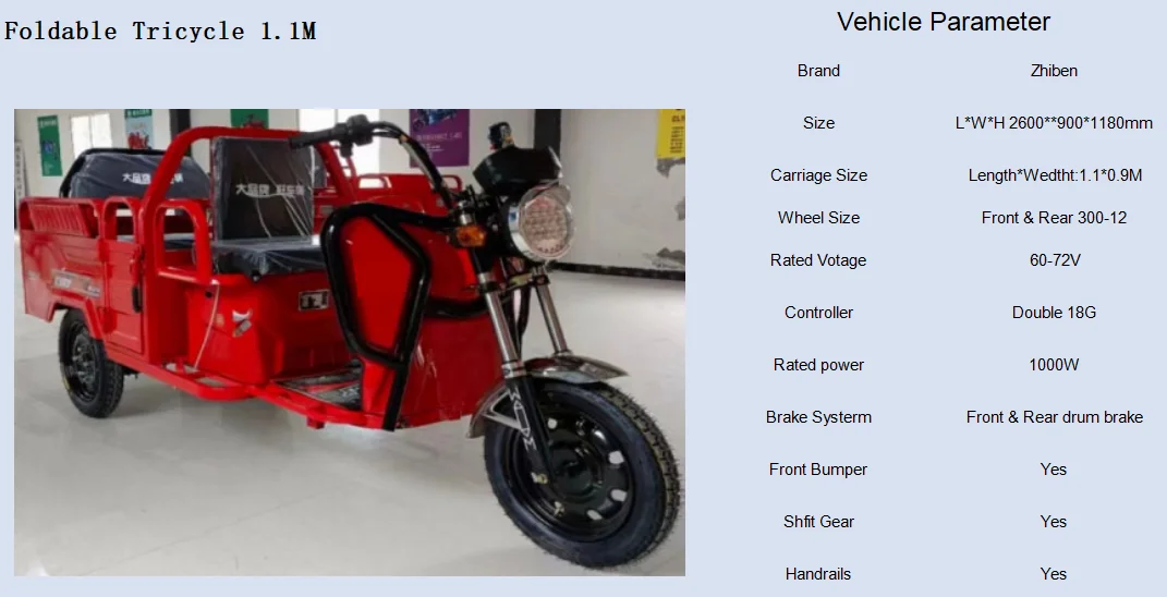 Electric Adult Tricycle Foldable E-Rickshaws Customized Three Wheels ...