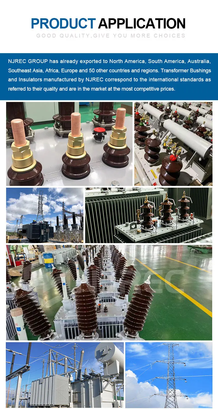 DIN Connection Flag Eye Bolt Terminal for High Voltage Transformers ...