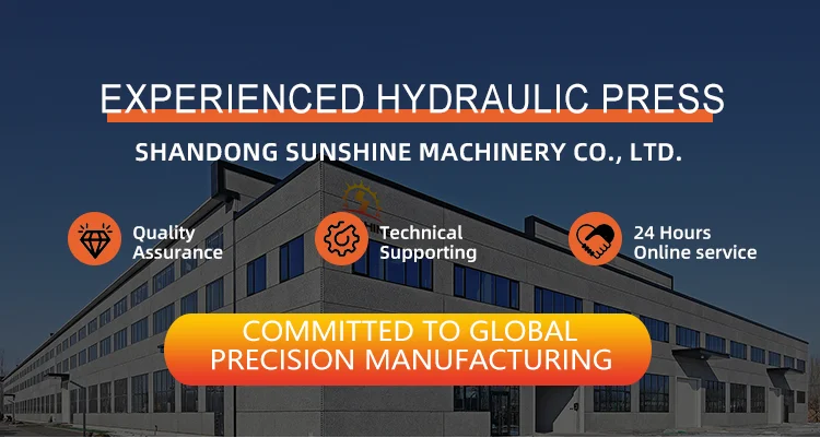 Single Arm 315T Vertical Hydraulic Press PLC Panel Control for ...