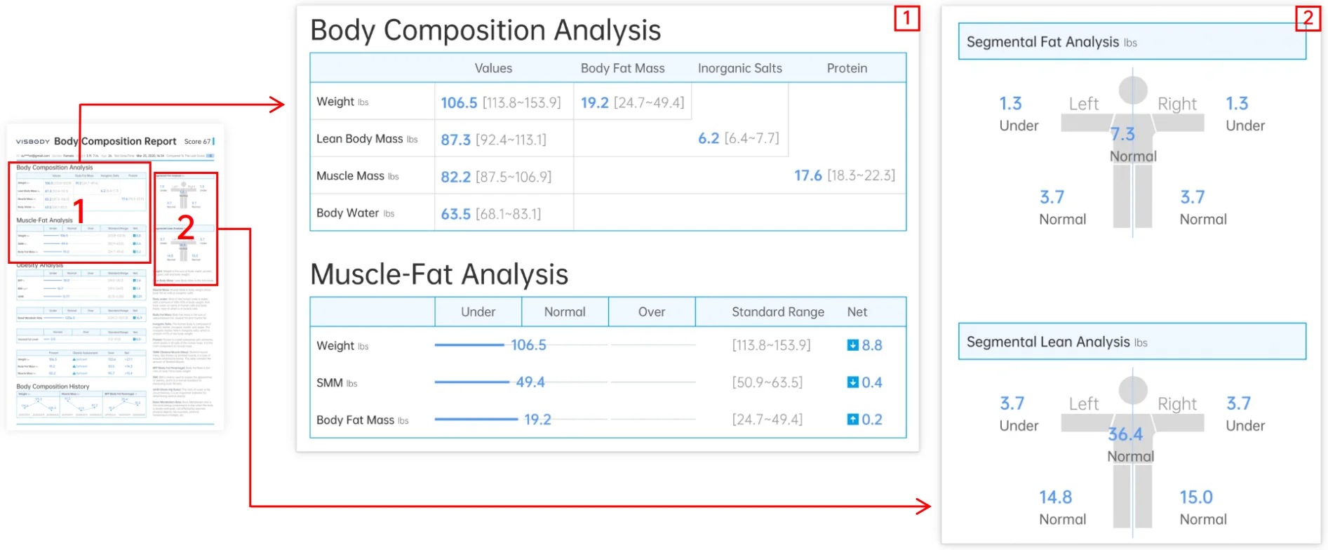 Visbody 3d Body Composition Analyzer And Posture Analysis Machine Bia ...