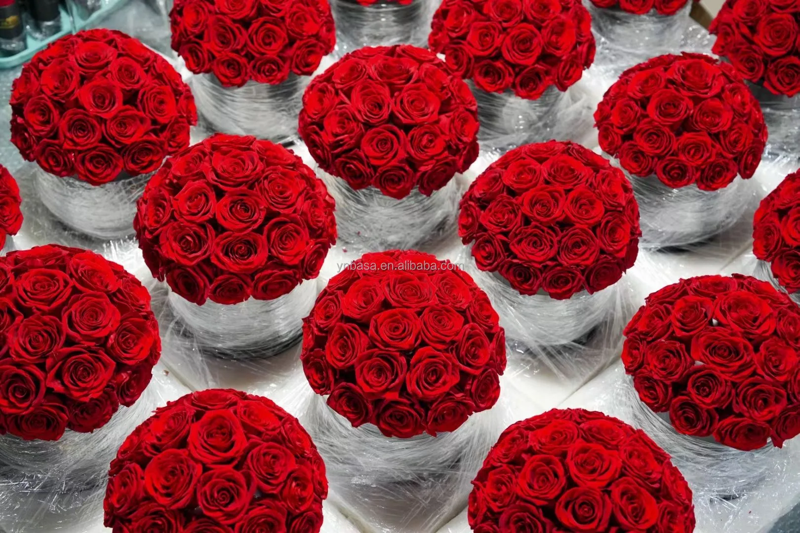 Factory Infinity Roses Eternal Natural Rose Preserved Roses Big Size ...