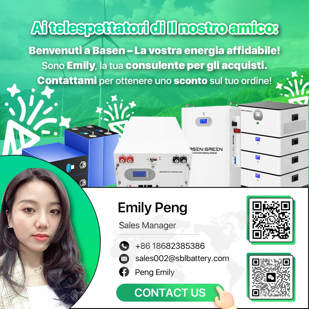 BASEN Emily-Salvo Italy 51.2V LiFePO4 Battery Pack 280-314Ah for Home ...