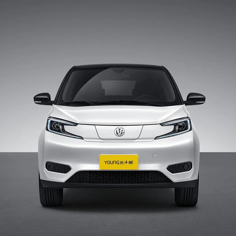 2022 New Electric Cars Made In China 4-5 Seats Ev Car Young Guang ...