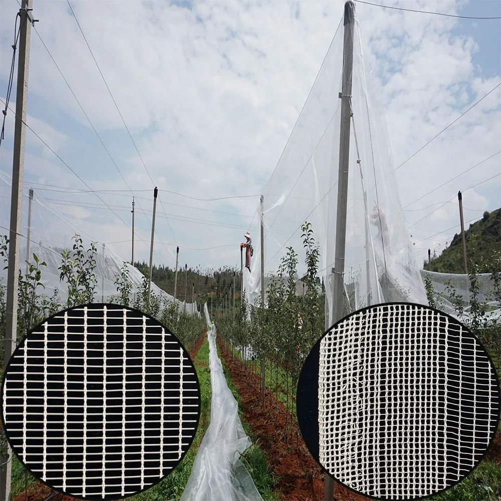 Agricultural HDPE Plastic Anti Hail Mesh Net Black Hail Proof Net Anti ...