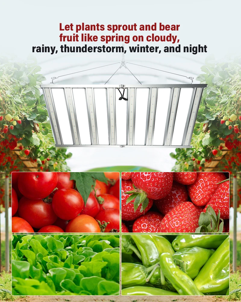 Alibaba.com: Samsung LM301H EVO 1000W full spectrum LED grow light with ...