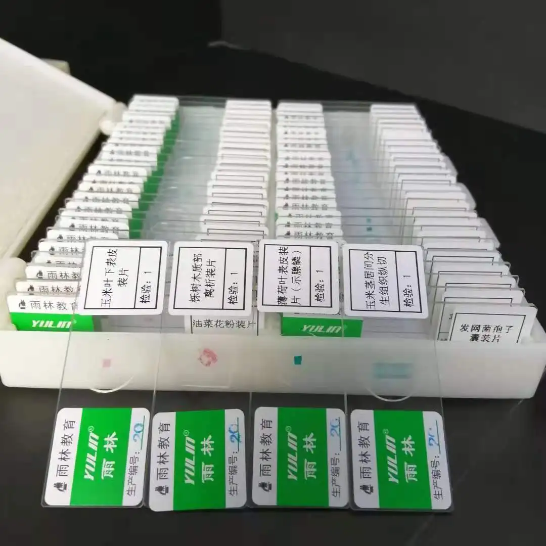 Medical Insects Mosquito Prepared Microscope Glass Slides Set F Lab ...