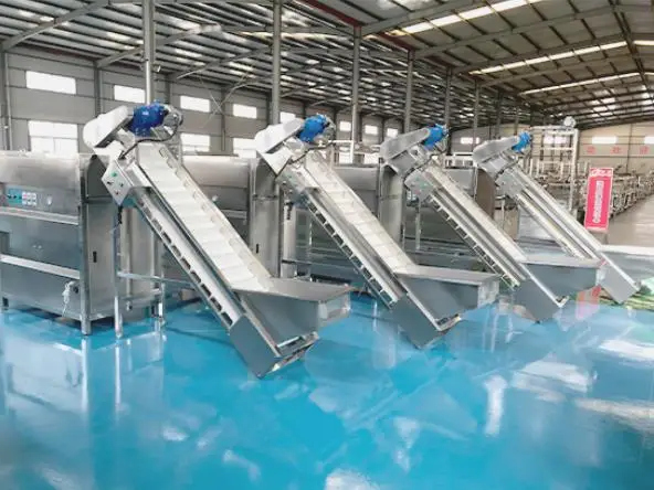 KLS Automatic Onion Processing Line - Efficient & Reliable