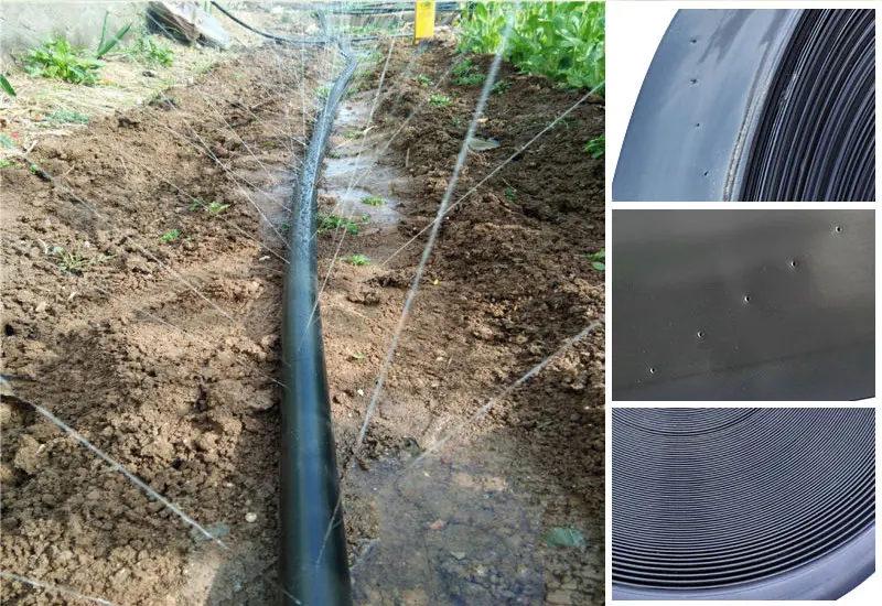 Efficient Irrigation Solutions - Drip Systems & More