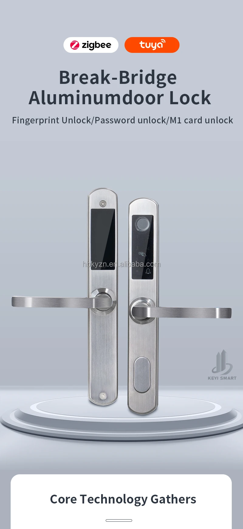 Tuya Fingerprint Smart Door Lock Stainless Steel 304 Break-bridge ...