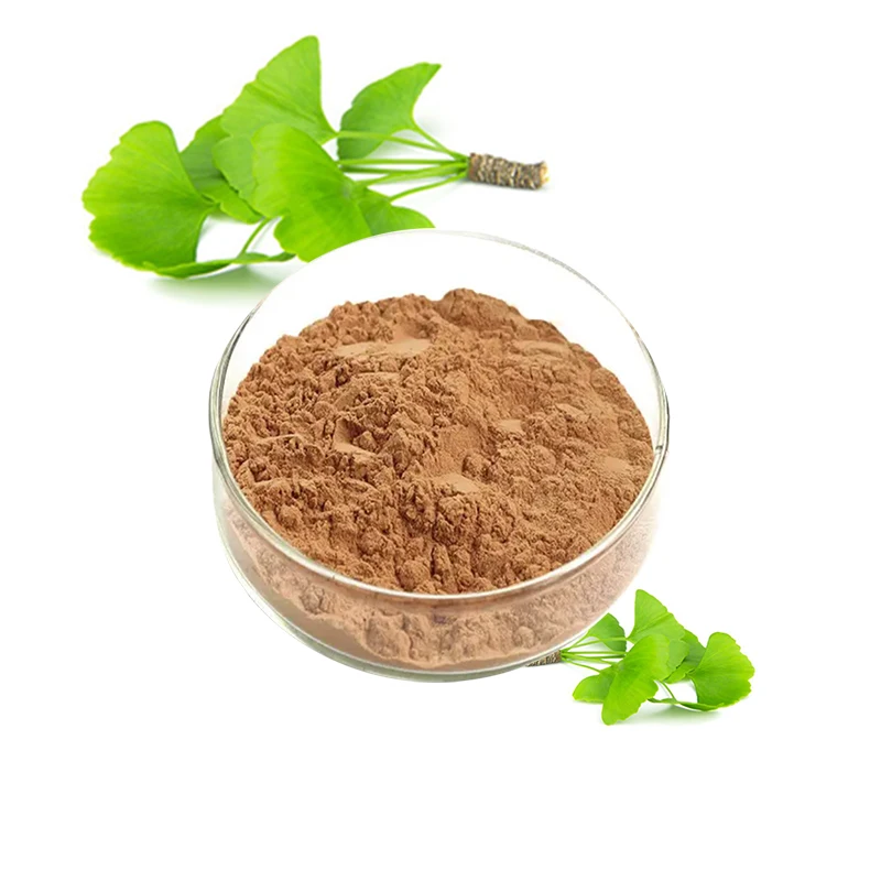 Natural Ginkgo Biloba Leaves Powder Hot Selling Ginkgo Biloba Extract ...