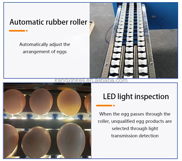 Automatic Chicken Eggs And Packaging Table Top Egg Grading Machine ...