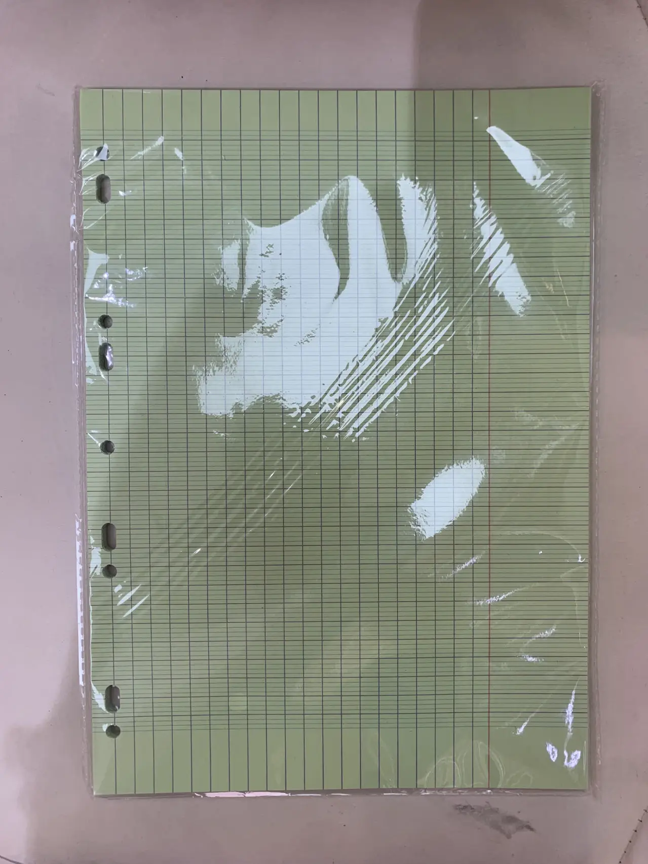 A4 Size Good Exercise Book French Lines Notebooks 48-200pages For 6 ...