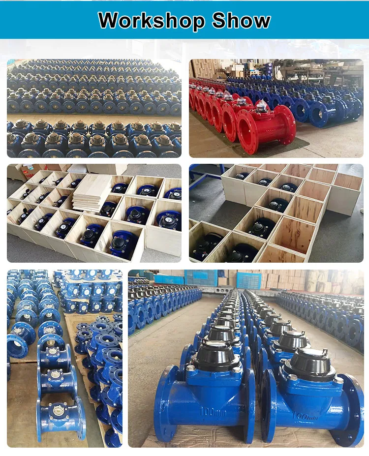 Shengda Mechanical Flow Meter Dry Dial Dn250 Water Meter Dn250| Alibaba.com