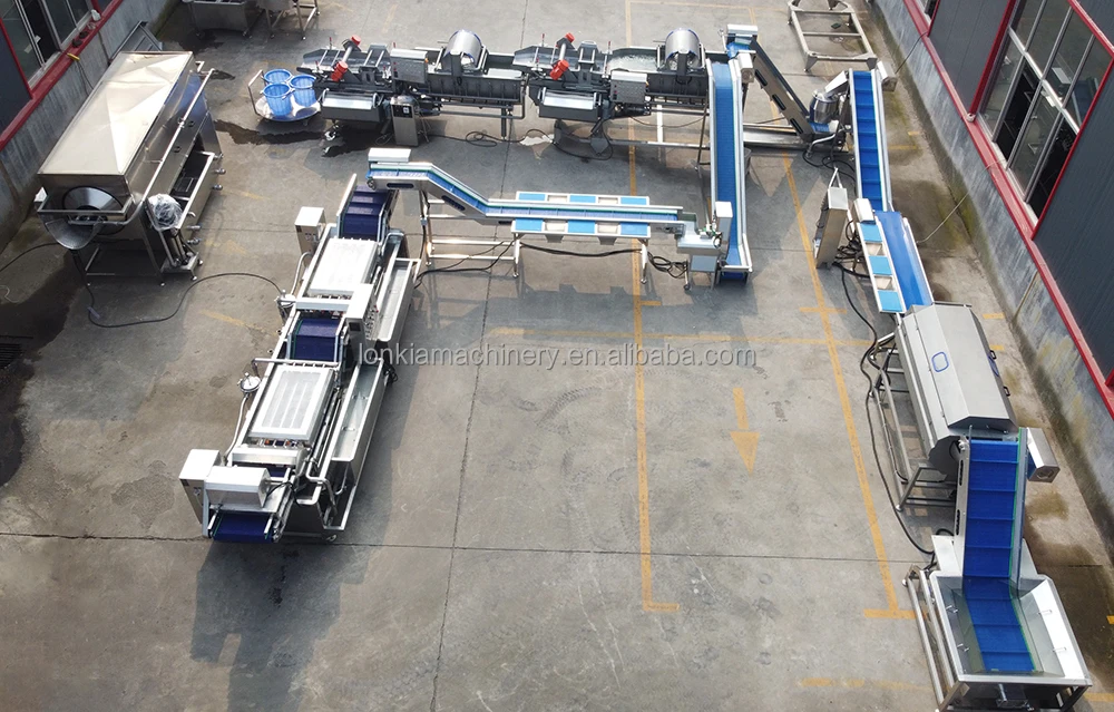 Full Automatic Industrial Clean Root Leafy Vegetable Washing Processing Line/frozen Fruit ...