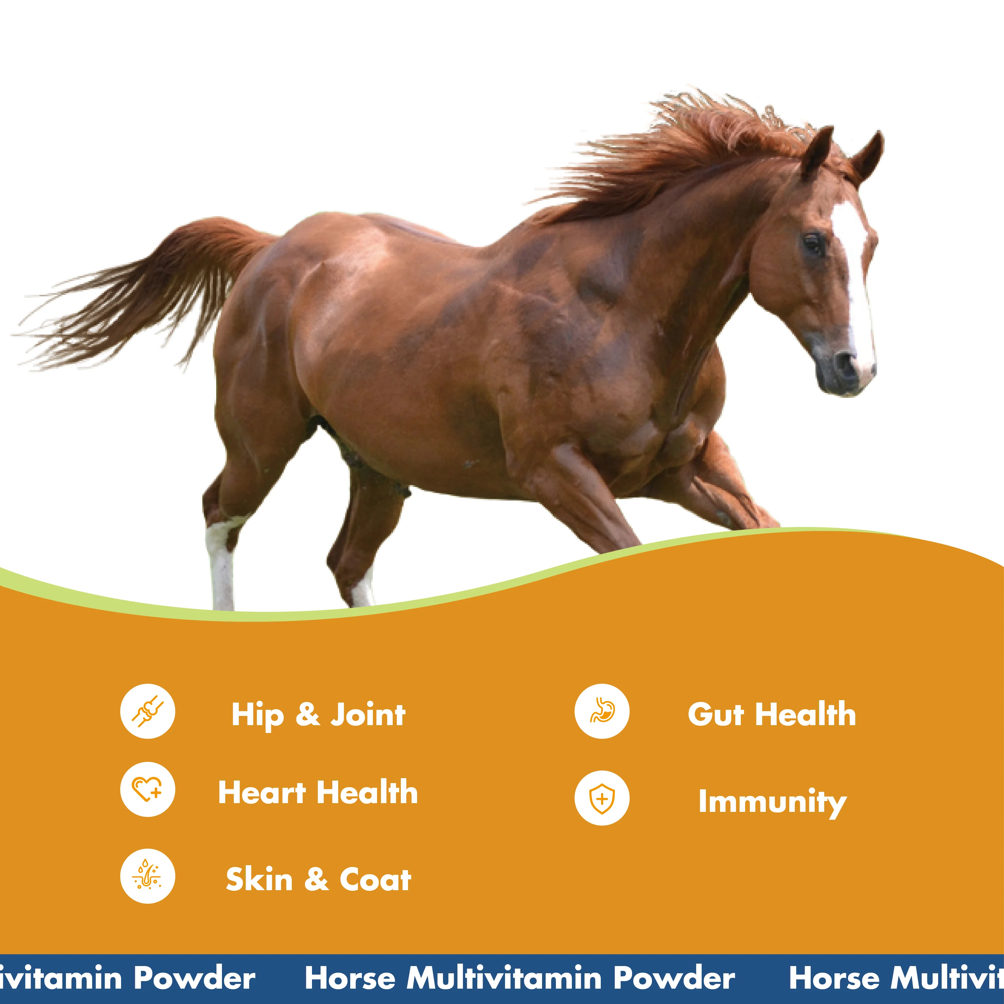 Alibaba.com: Natural Horse Multivitamin Powder with Vitamins A, B, C, D ...