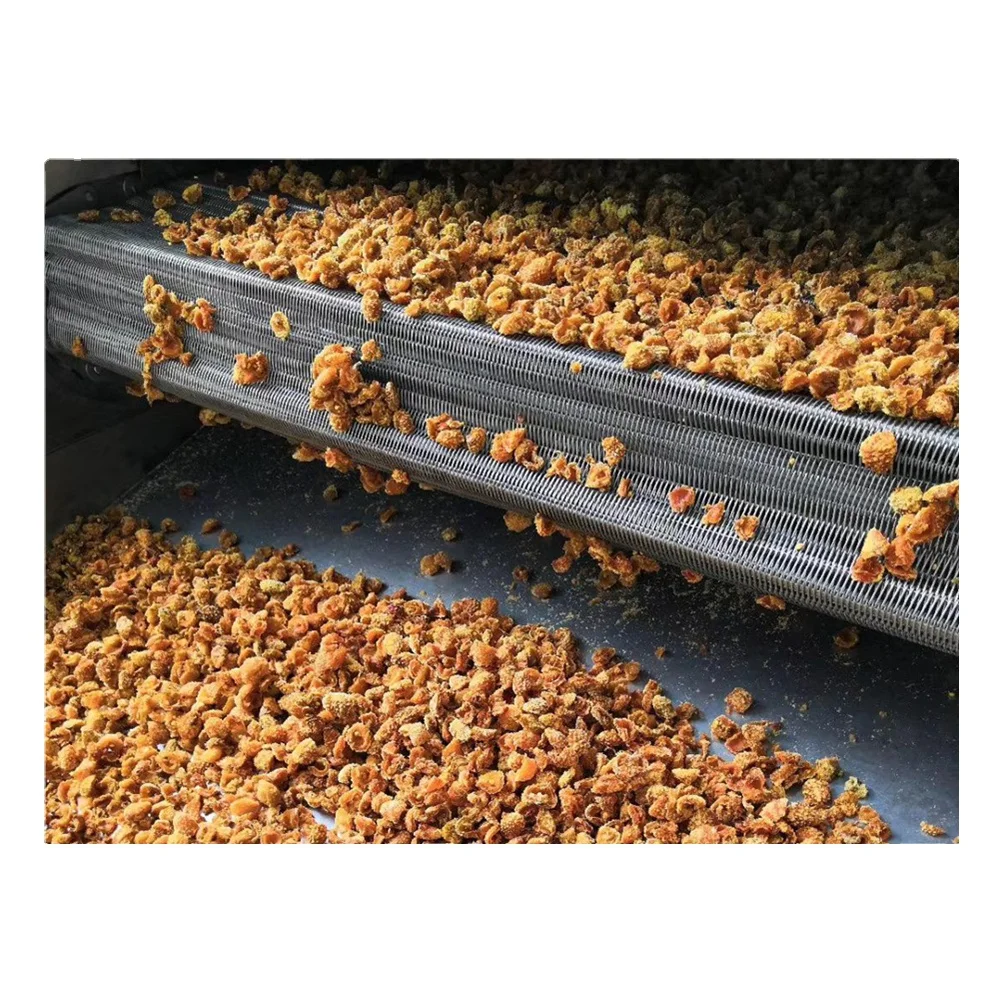 Automatic Dried Dehydrated Fruits Making Line - Buy Dried Fruits Making ...