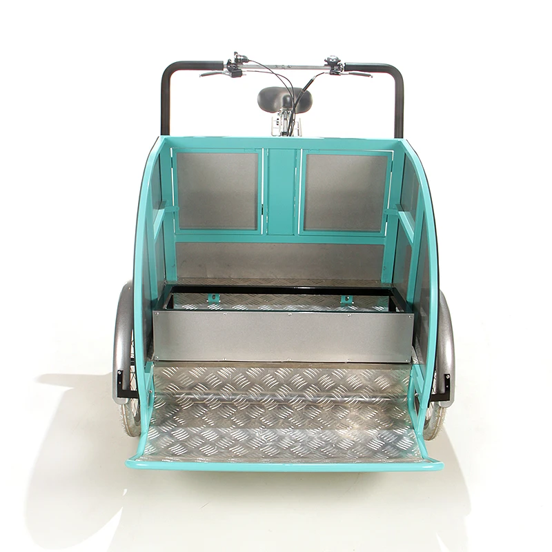 Europe Style Pedicabs Electric Assist Taxi Bike for Old People