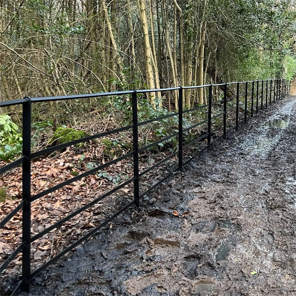 National park guardrail fence Public garden railing fence estate ...