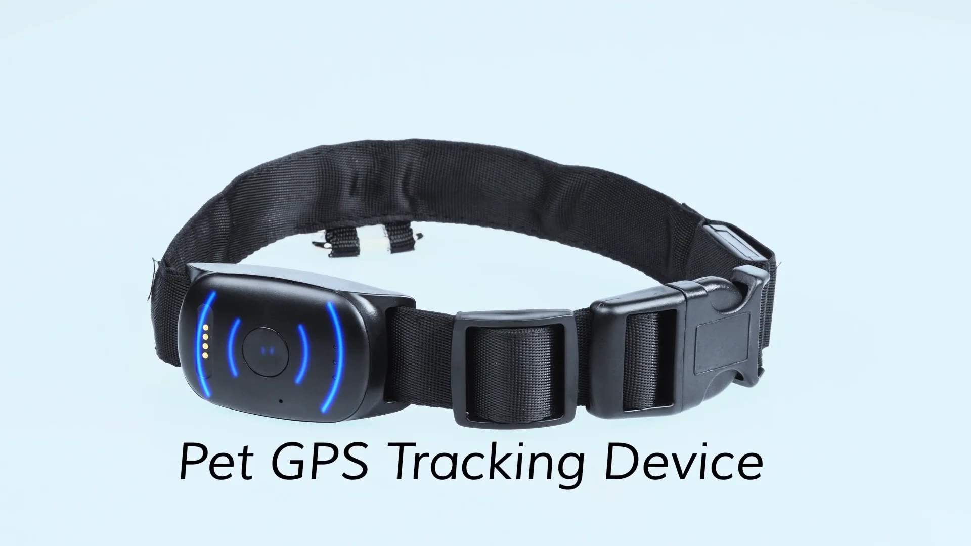 Eview Ev-201m Globe Real Time Tracking Dog Break-away Type Collar 4g Lte Pet Gps Tracker - Buy ...